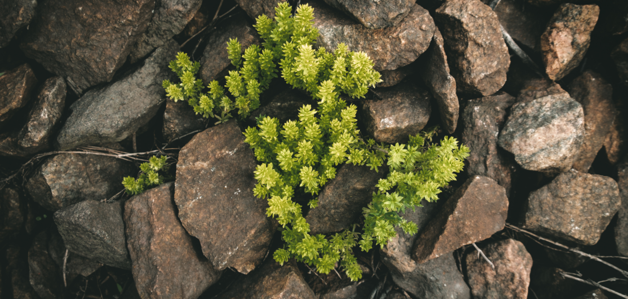 Using Given Circumstances in your Acting | A Practical Guide